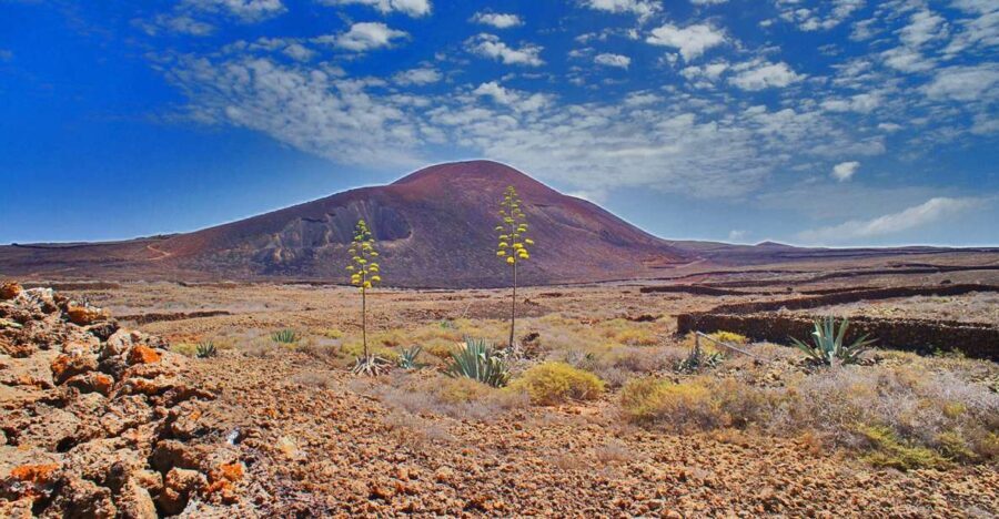 Fuerteventura: Trekking Tour Through the North of the Island