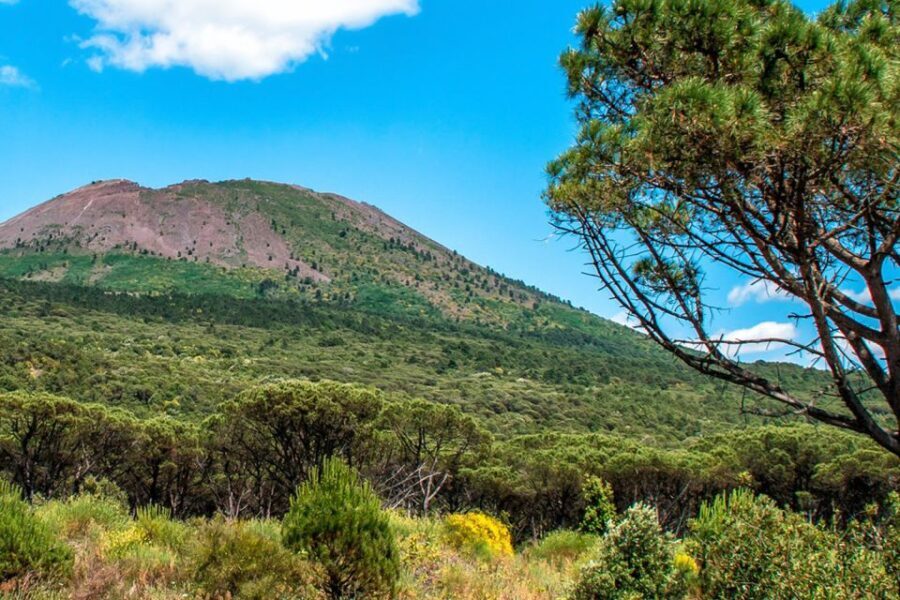 Full-day from Naples: Pompeii & Vesuvius with Italian Lunch