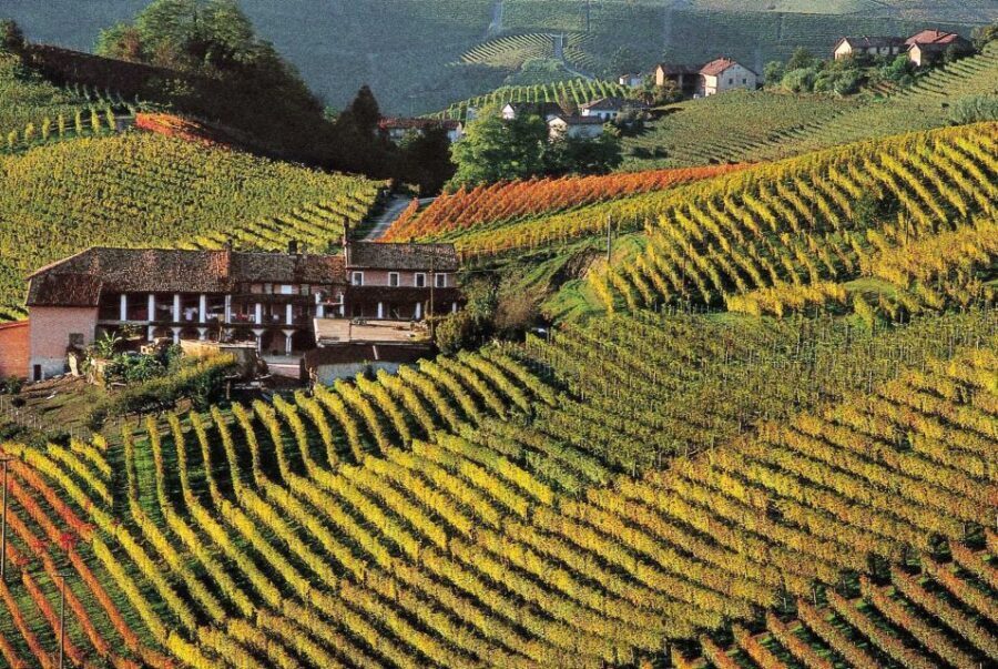 Full-Day Langhe Region Tour with Wine Tasting Experience