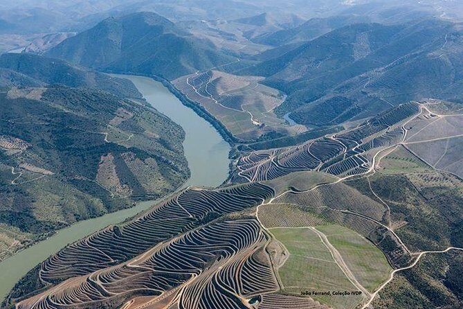 Full Day, Wine Tasting, River Cruise and Lunch from Porto