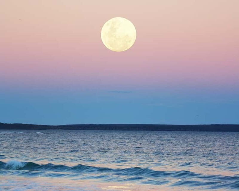 Full Moon Magic  2h Night Sailing in Sotogrande