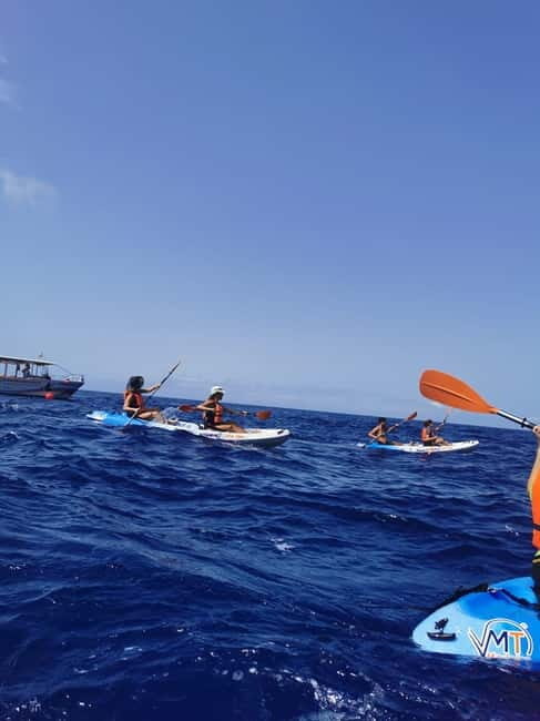 Funchal Boat trip with Kayak Experience