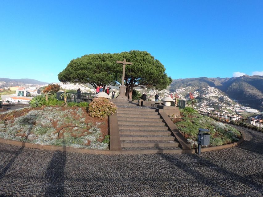Funchal: Cabo Girão, Wines Tasting and Dolphins Watching