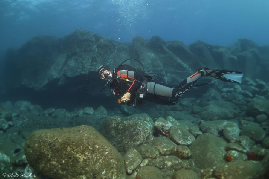Funchal: Certified Scuba Diving, Guided Tour