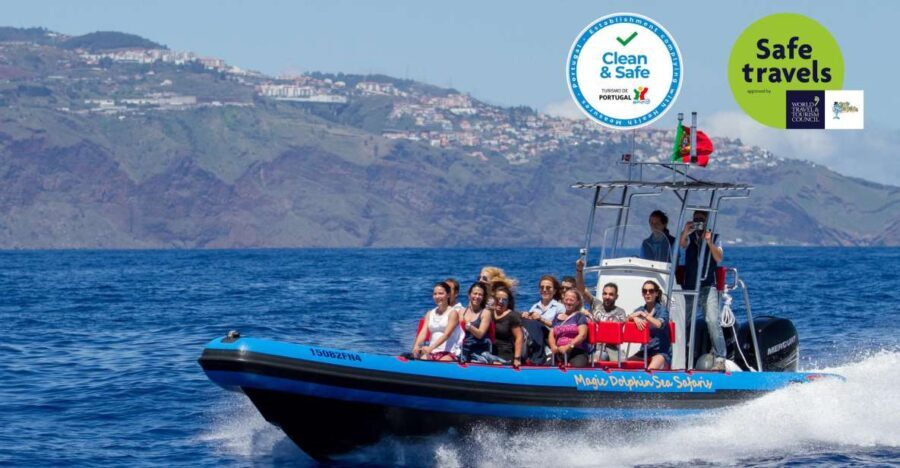 Funchal: Dolphin and Whale Watching Cruise