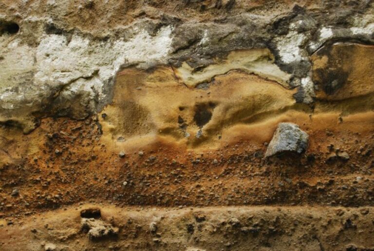 Geology: private full day tour - Why This Tour Stands Out