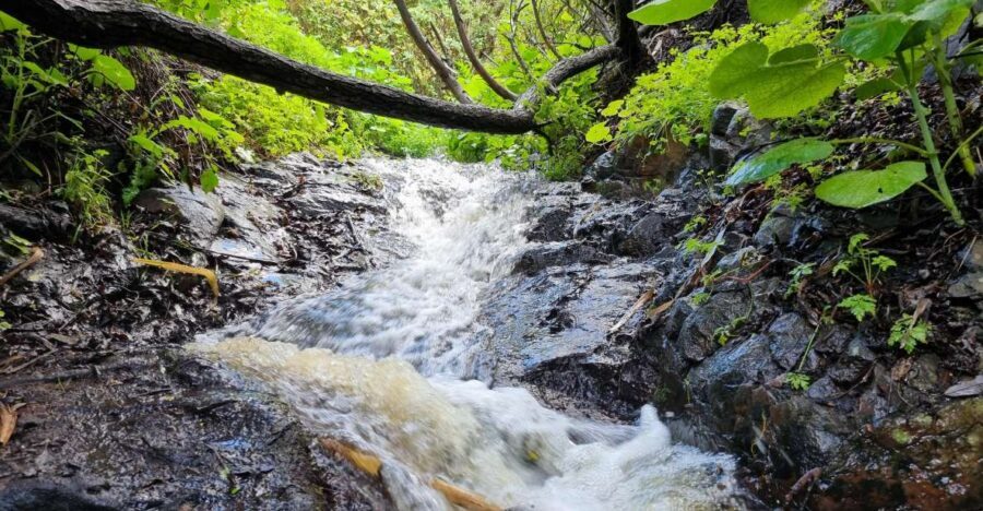 Gran Canaria: "Magic Waterfalls" Hiking Tour