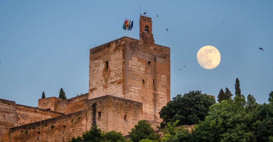 Granada: Alhambra and City Private Tour