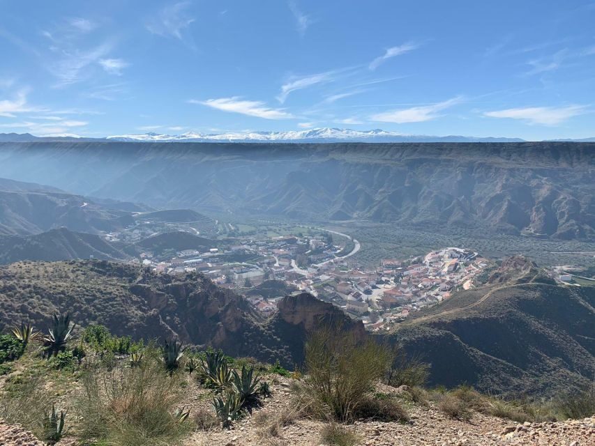 Granada Geopark: Desert and Prehistory Tour with Lunch