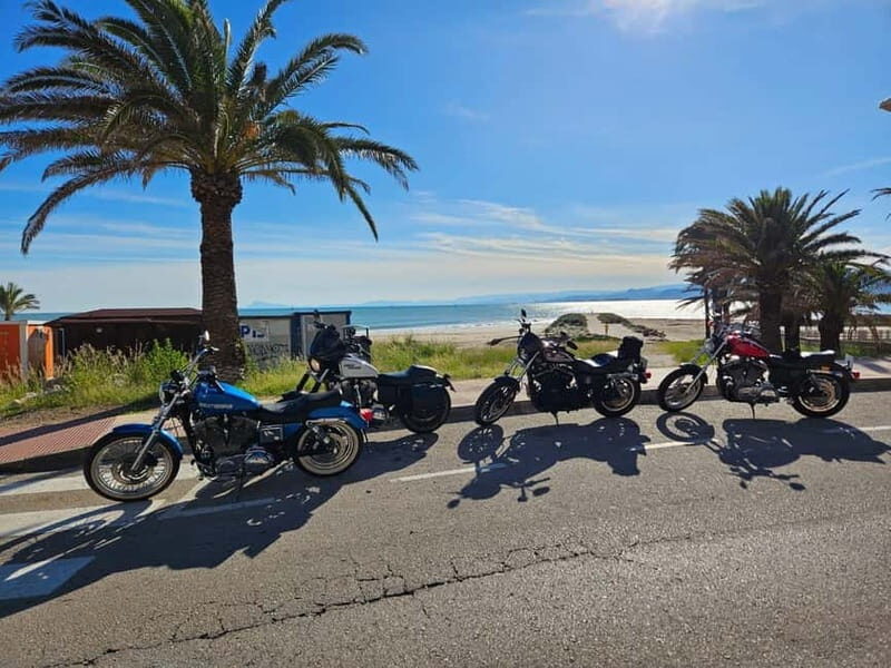 Guided Harley tours with lunch