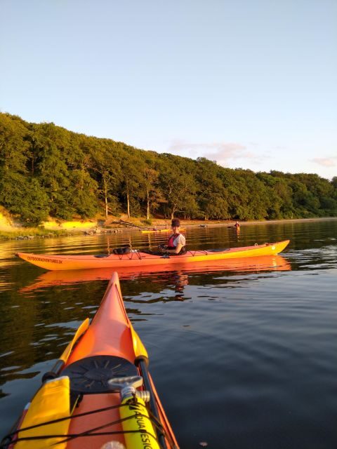 Guided kayaking on Roskilde Fjord: Private tour