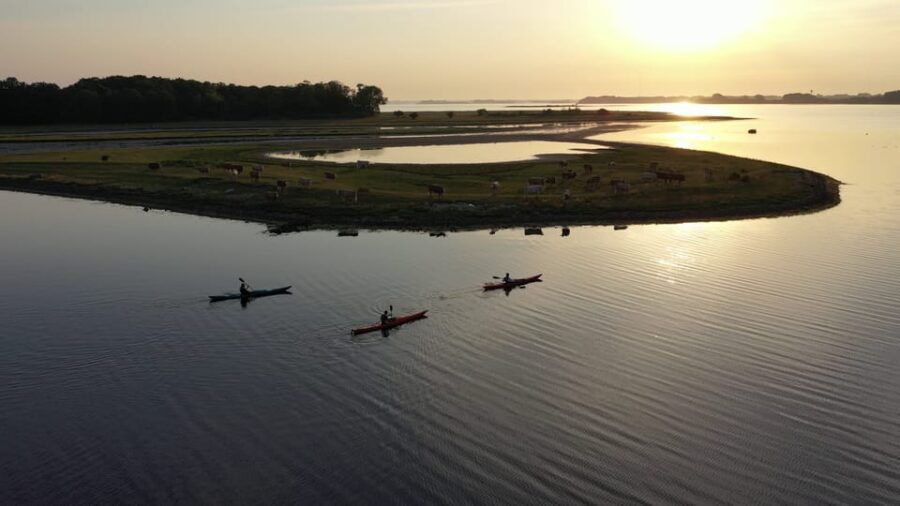 Guided kayaking on Roskilde Fjord: Sunset tour