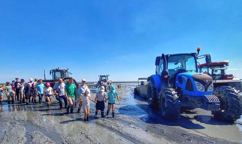 Guided tour of Cancale's oyster beds