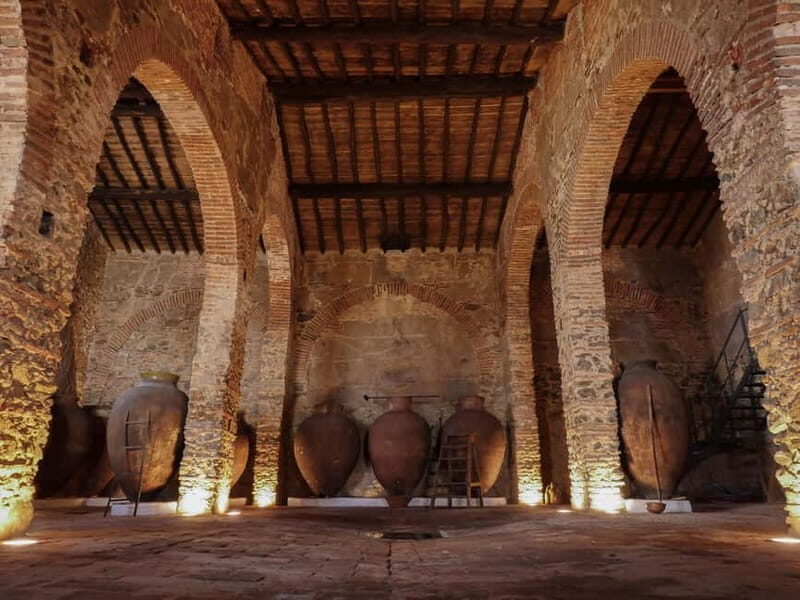 Guided tour of the Cella Vinaria Antiqua Wine Cellar Museum