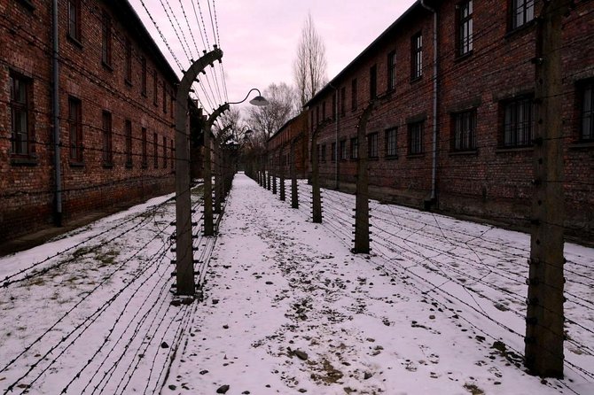 Guided tour to Auschwitz Birkenau museum from Krakow with lunch