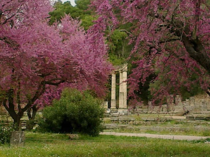 Guided visit to ancient Olympia with an Italian archaeologist tour guide