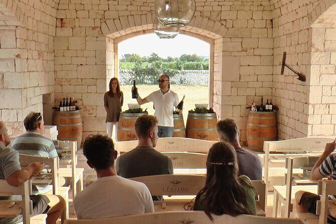 Guided Visit to the Vineyard with Wine Tasting