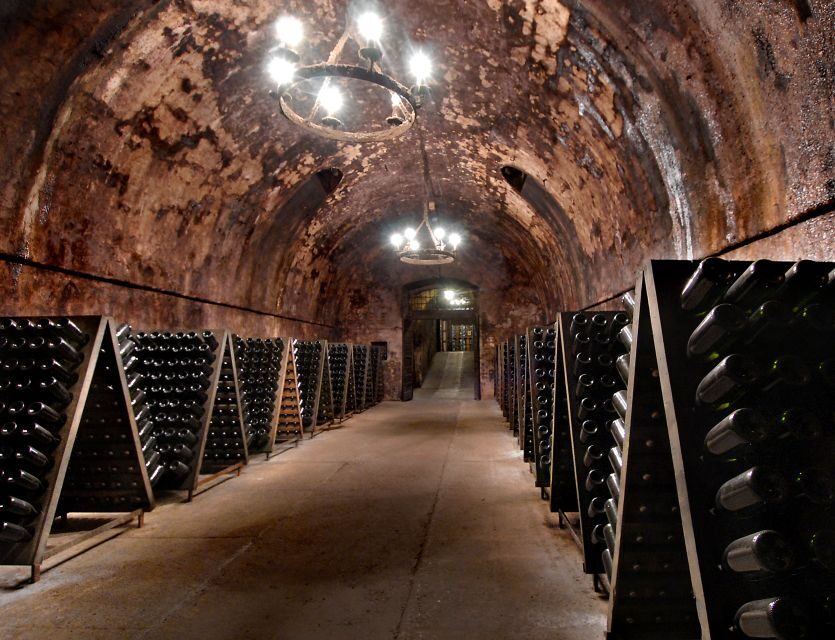 Half-Day Food and Wine Experience in Franciacorta