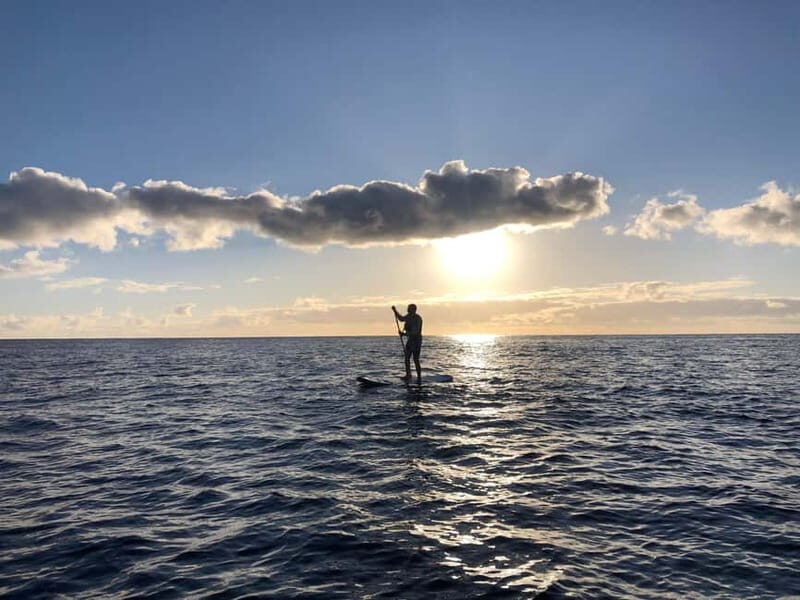 Half Day: Islet tour, snorkeling and Stand up Paddle.