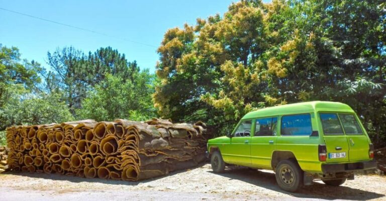 Half-Day Mountain Jeep Safari with firewater tasting - The Experience in Detail