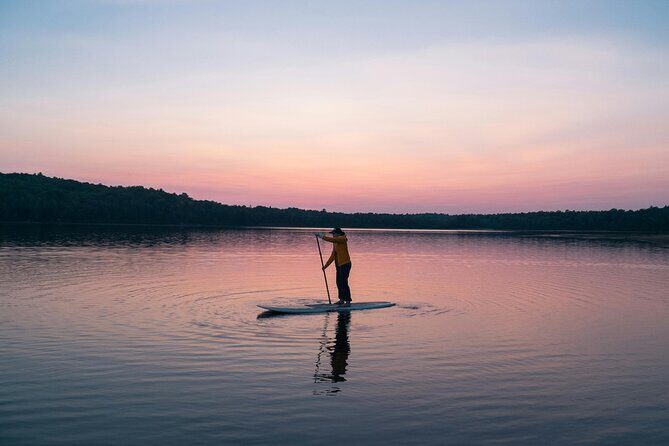 Half day Paddleboarding exploration on the Dart - What Can You Expect During the Tour?