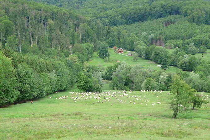 Half Day Tour to Bucovina Painted Monasteries