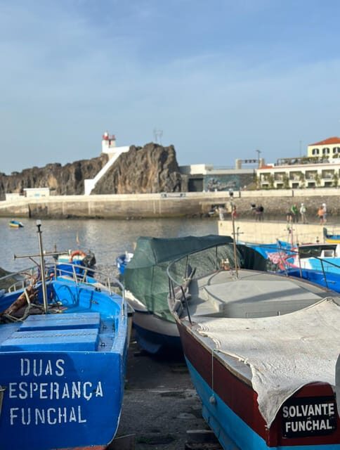 Half Day tour with Madeira Wine tasting