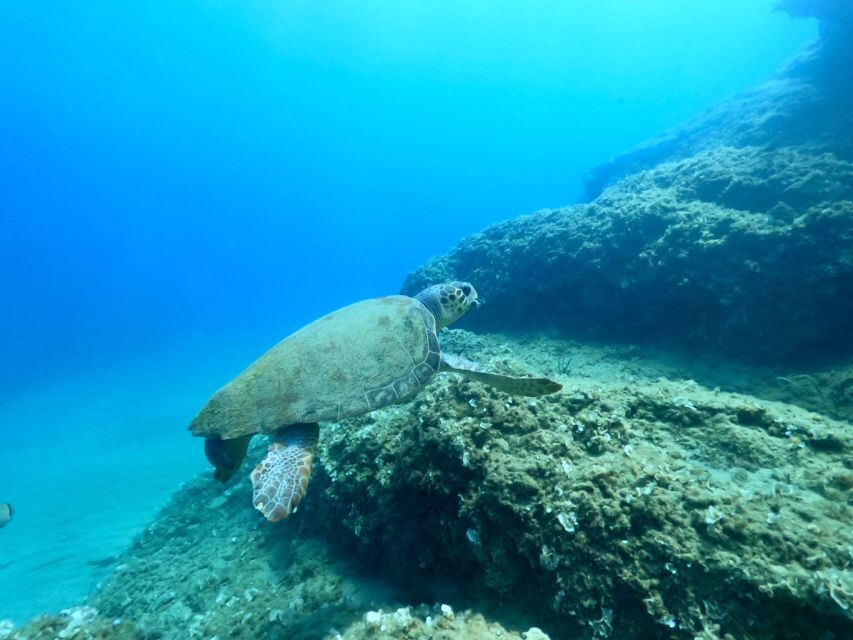 Heraklion: Scuba Diving Experience for First-Timers