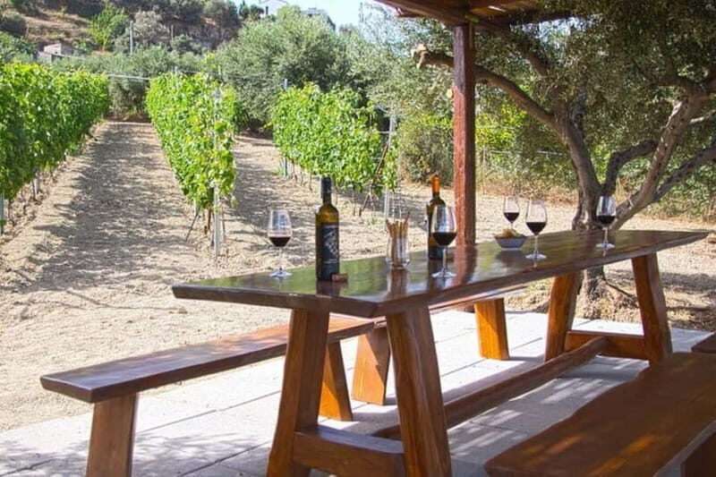 HERAKLION: Wine tasting at Douloufakis Vineyards ARISMARI