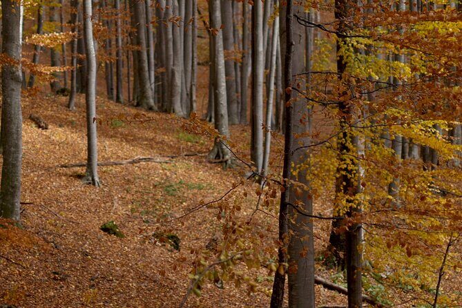 Hike in The Central Balkan National Park - What Do You Get for Your Money?