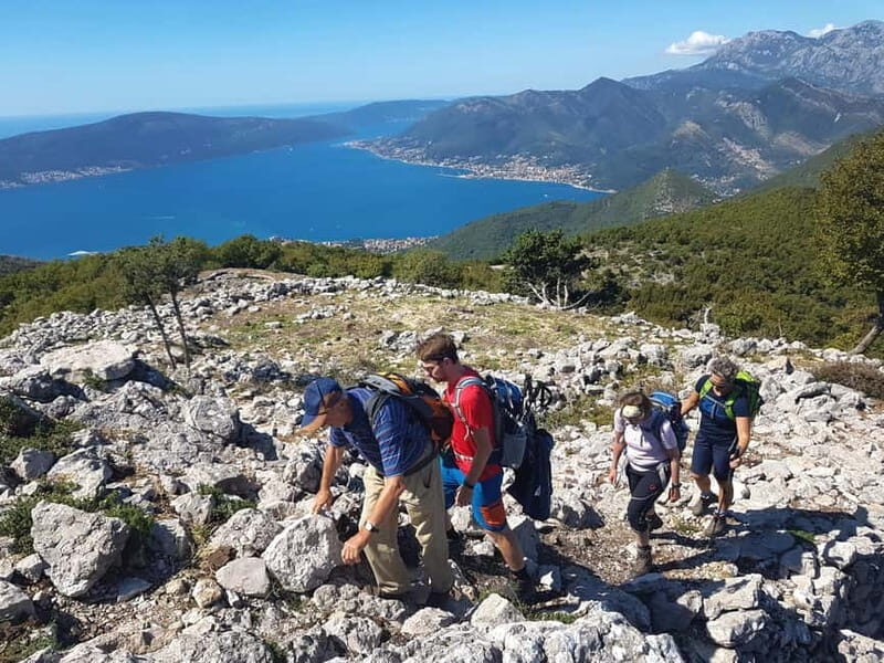 Hiking Vrmac peninsula with panoramic view on Kotor bay