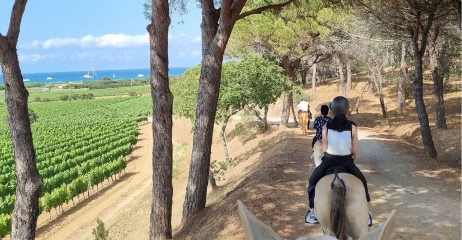 Horse back riding + wine tasting in Ramatuelle