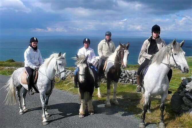 Horse riding - Dirt Trek Trail. Lisdoonvarna, Clare. Guided. 1 hour.