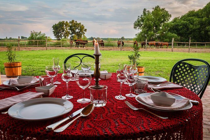 Horseback Riding and yurt stay in the Puszta, 1 hour morning ride