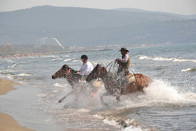 Horseback Riding From Kusadasi Port For Cruise Guests - A Ride to Remember: Horseback Riding from Kusadasi Port for Cruise Guests
