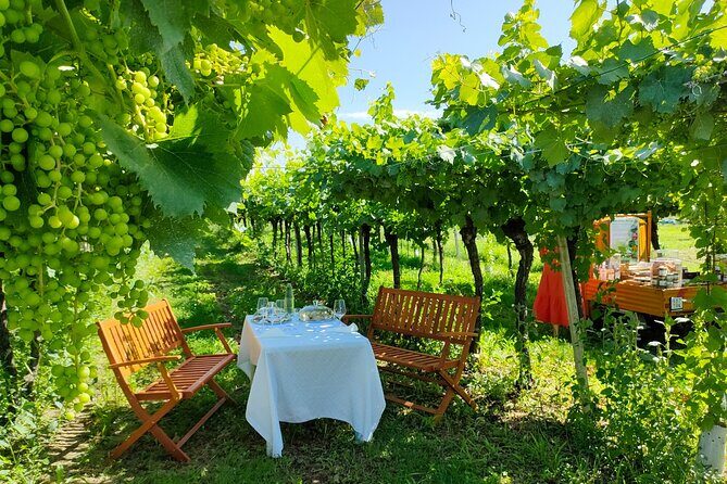 Horseback Riding with Wine and Food Tasting in Lazise Countryside