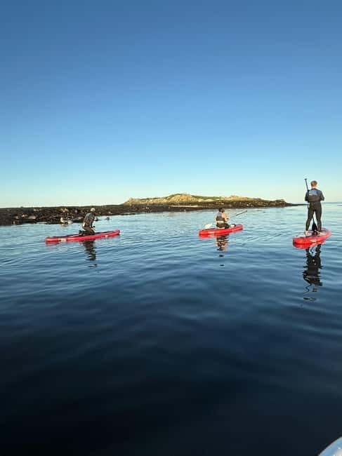 Howth: Paddleboarding Lesson in Howth Harbour