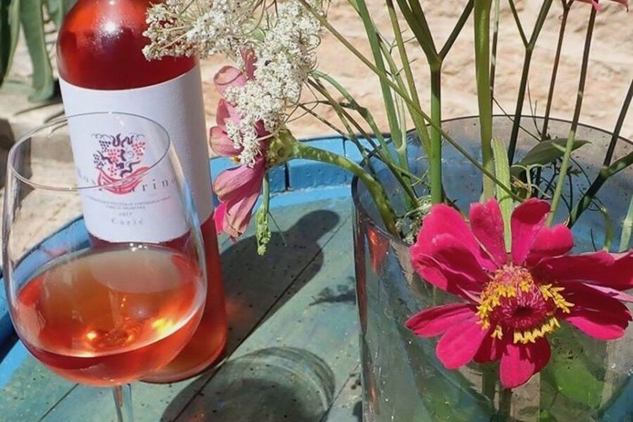 Hvar: Hvar Wine Tasting Experience
