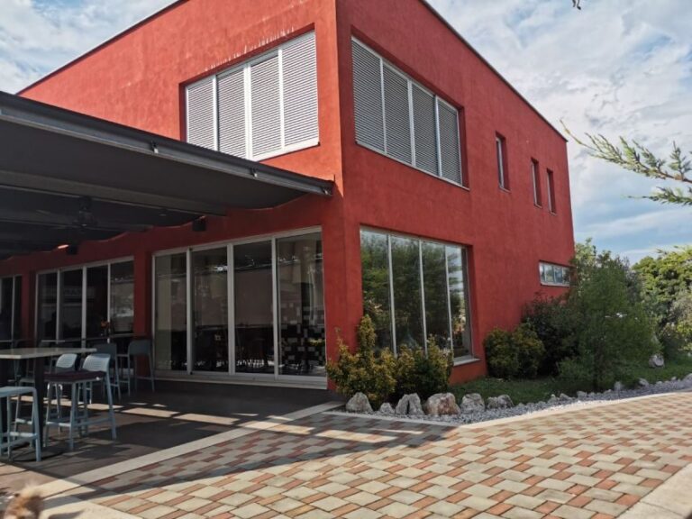 ian: Organic Winery Tour and Tasting Experience - Authenticity and Value