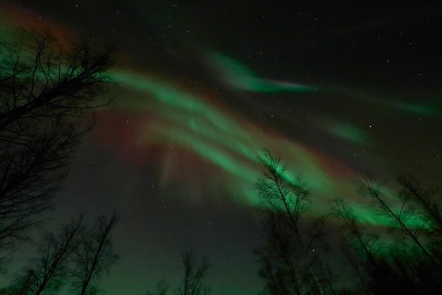 Ii: Snowmobile sleigh trip on frozen sea under starlit sky