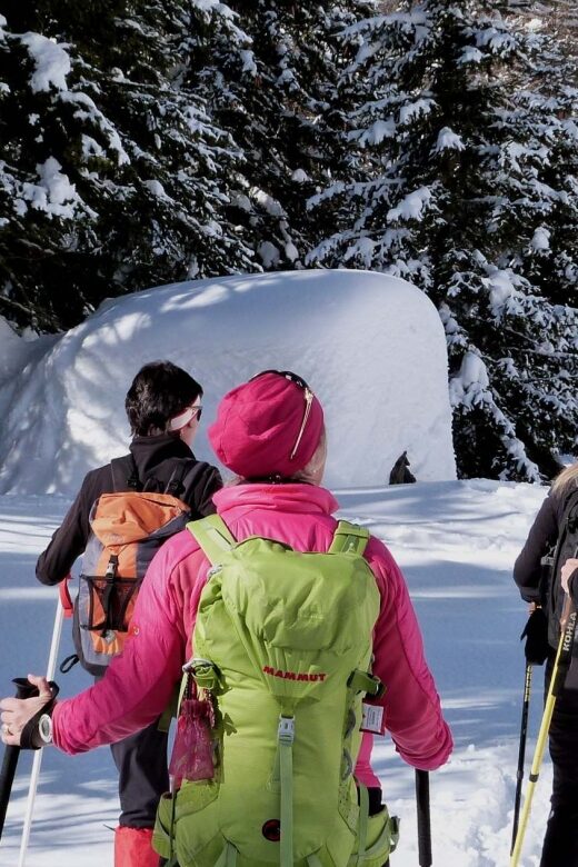 Innsbruck: Priv. Guided Snowy Mountain Hike /Snowshoe´s
