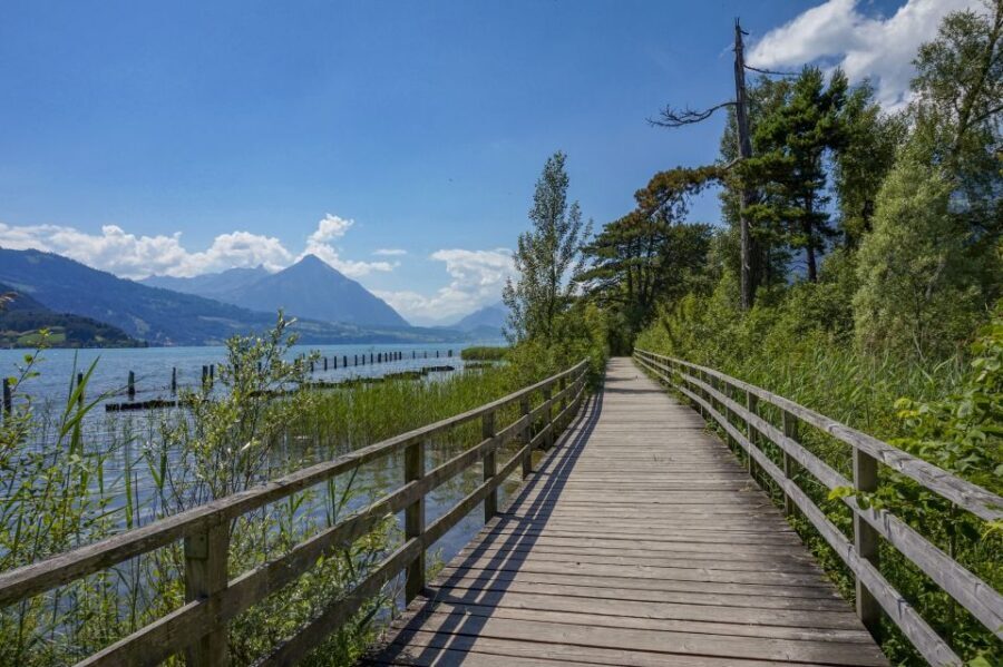 Interlaken: Express Walk with a Local in 60 minutes