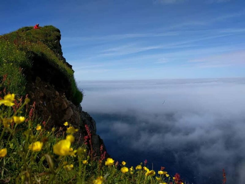 Ísafjörður: Hornstrandir Nature Reserve Guided Hike