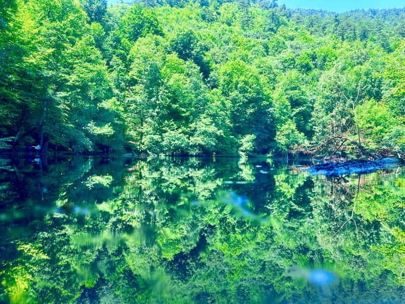 Istanbul: Sapanca, Bolu, Safranbolu and Amasra guided tour
