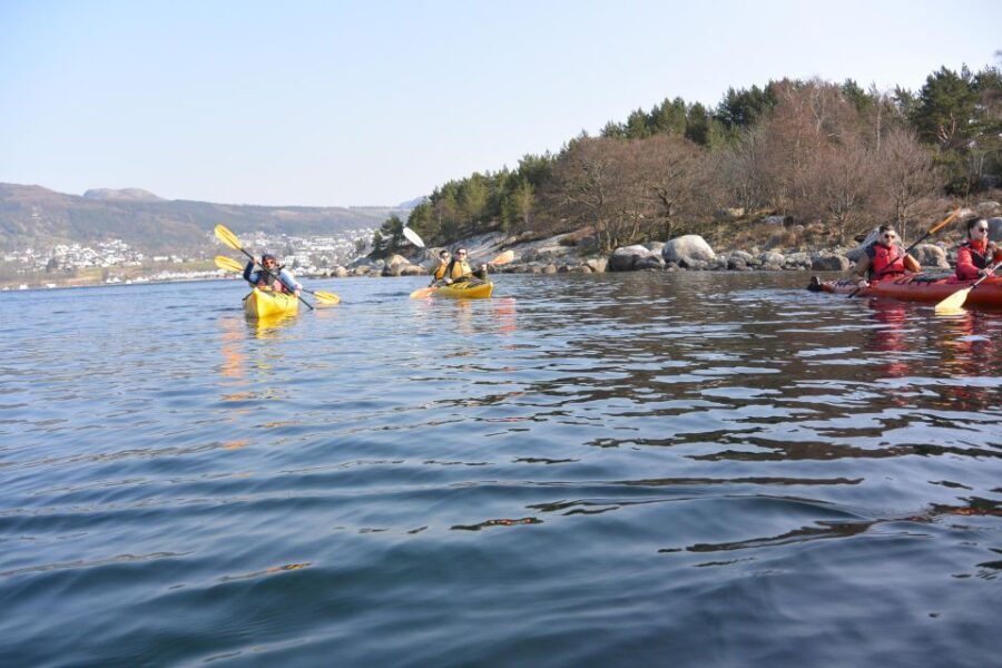 Jørpeland: Guided fjordtour kayak