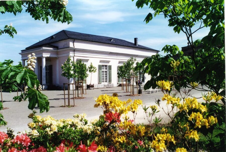 Kassel: pure relaxation and world culture - guided tour of the Bergpark