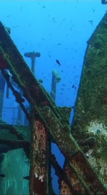 Kemer: Scuba Diving Experience in Aquarium and Kiris Bays