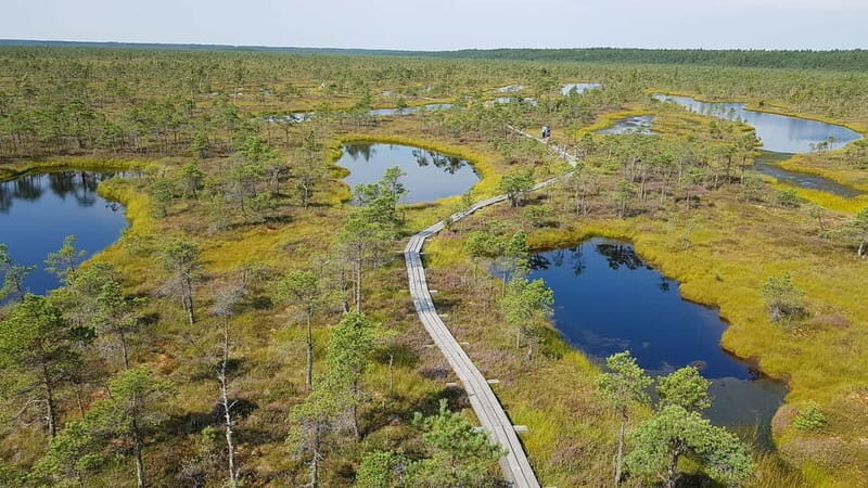 Kemeri National Park Bog Trail near Riga