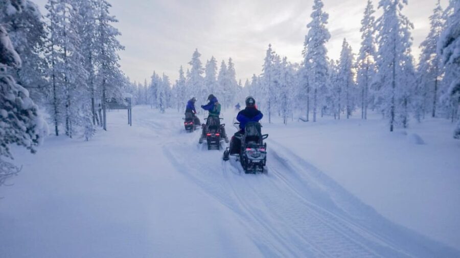 Kemi-Tornio: Snowmobile Forest Safari w/ Hot Drink & Snacks
