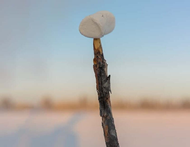Kiruna: Snowshoe Hike & Ice fishing Tour